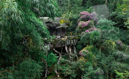 Parakkat Nature Resort, Munnar (updated prices 2025)
