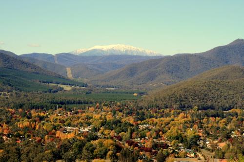3 Bells Alpine Cottage, Bright (updated prices 2025)