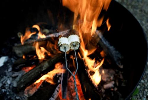 Intimate Luxurious Bell Tent with Fire Pit in Ontario, Miller Lake ...