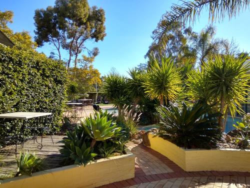 Madison Spa Motel - Adults Only, Moama (updated prices 2025)