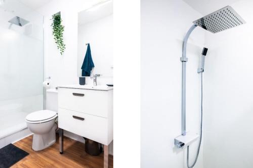 Hometimal - le BlueBird - City Center - Train station, Toulouse ...