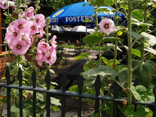 The Olde Windmill Inn, Great Cressingham – Updated 2023 Prices