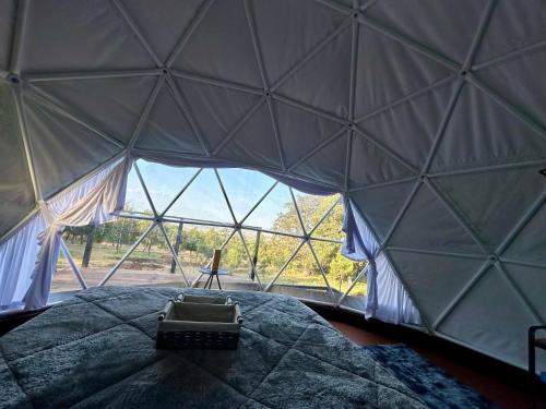 Domo en bosque con jacuzzi, Tulancingo (giá cập nhật 2025)