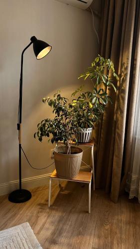 Apart on Arbat Standard, Chimkent (tarifs actualisés, 2025)