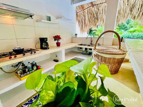 New KeyPoint Retirö Natural Palomino!, Palomino (2026 legfrissebb árai)