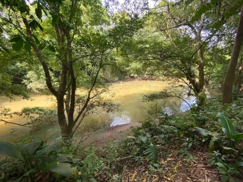 Hostel Guacimo Workaway and Workpackers, Guácimo (preços atualizados ...