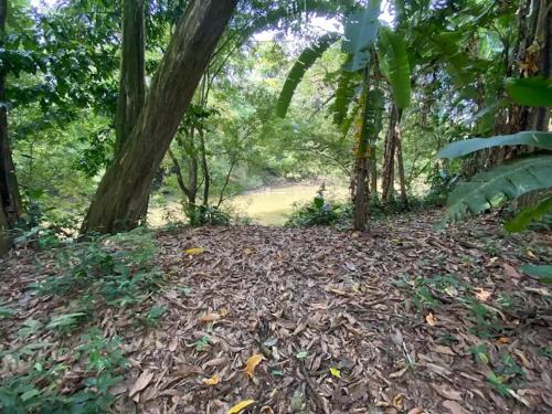 Hostel Guacimo Workaway and Workpackers, Guácimo (precios actualizados ...