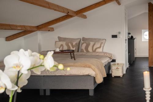 Villa COCO Aphrodite Apartment, Noordwijk (precios actualizados 2026)