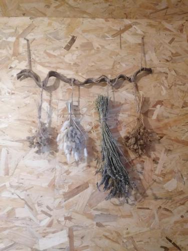 La Parenthèse sur Loire, at Stéphanie and Florian's, Saint-Florent-le ...