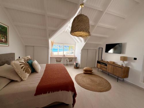 Tropical moon, Saint-Martin (tarifs actualisés, 2026)