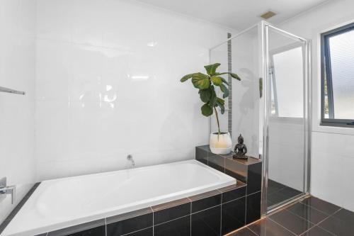 Coastal Retreat Apollo Bay - with solar heated swim spa, אפולו ביי ...