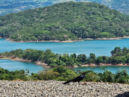 La Vista del Descanso, Tapantí (2026 güncel fiyatları)