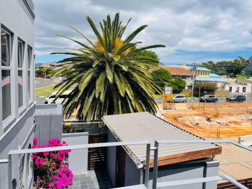 claremont guesthouse، كيب تاون (أسعار محدثة لعام 2026)