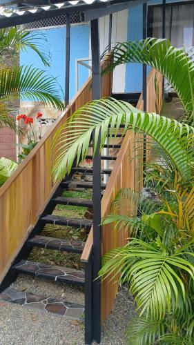 Shalon Apartments, Cahuita (tarifs actualisés, 2026)