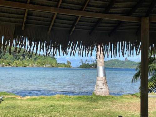 Havaii Spot Huahine, Huahine (precios actualizados 2026)