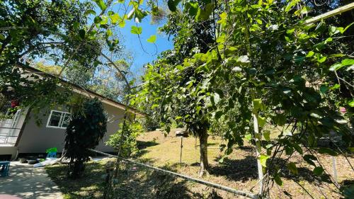 House Party of Lee, Ban Huai Sai (preços atualizados para 2026)