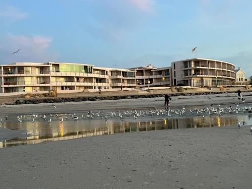 Beachfront bliss! Front row seats on Lagoon Beach, Vosburg ...