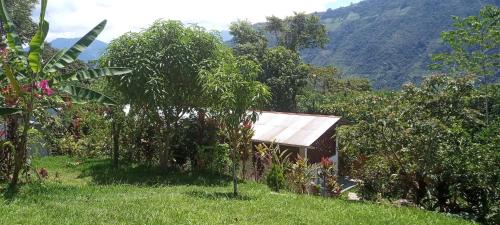 Fundo La Bonita -Palmapampa, La Victoria (aktualisierte Preise für 2026)