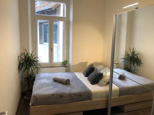 M128 Marquer Joli T3 spacieux et moderne, Annemasse (precios ...