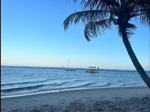 La Fleur Polinésia Residence & Resort - Muro Alto -BEIRA MAR, Porto de ...