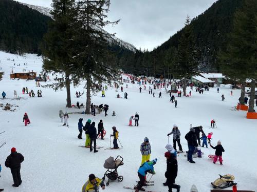 The Cube, סמוקוב (מחירים מעודכנים לשנת 2026)