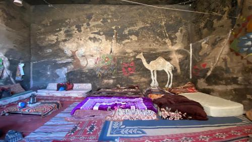 Cave in Little Petra - Authentic bedouin experience, Al Jafr (preços ...