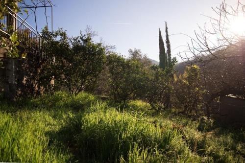 Hillside Haven, Sutorina (updated prices 2026)