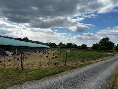 The Cabin at Green Acres Poultry Farm, Chew Valley, West Harptree की ...