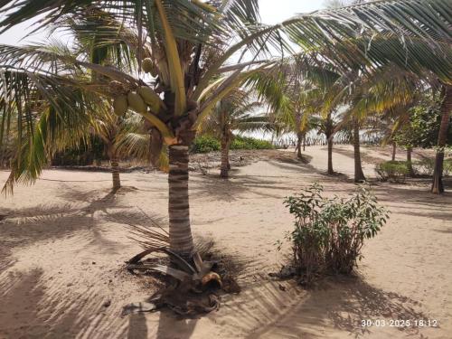 Baobab Beach Villa 2, Abene (preços atualizados para 2026)