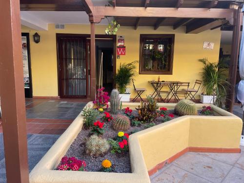 Hidden treasure, Playa de las Américas (precios actualizados 2026)