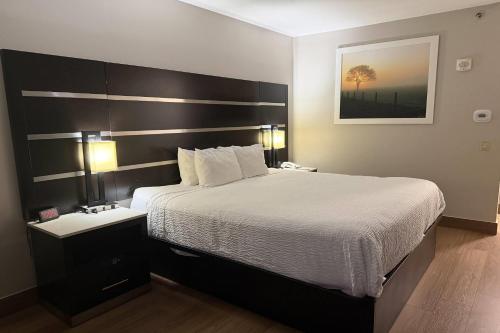 Days Inn by Wyndham Budd Lake, Budd Lake (updated prices 2026)