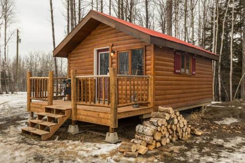 The Wolf Cabin - Bear Creek Cabins, Winfield (tarifs actualisés pour 2026)