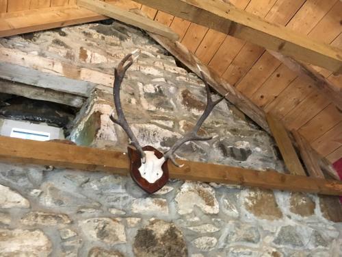 Glamping Bothie, Inverurie (updated prices 2025)