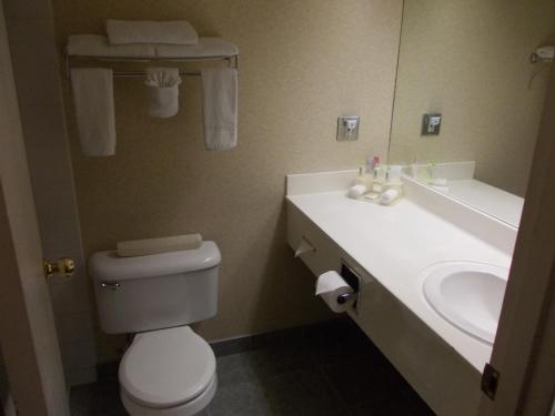 Rocky Inn Express, Rocky Mountain House (updated prices 2024)