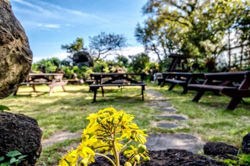 Olleyo Resort, Seogwipo (updated prices 2025)