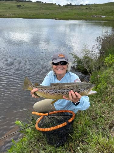 Riverside Villa Fly Fishing Wood-Fired Hot Tub, Dullstroom (tarifs ...