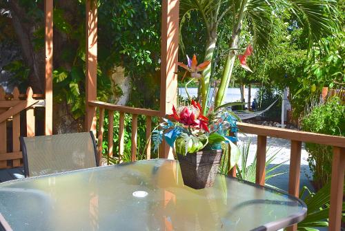 Turtle Beach Resort, Siesta Key (updated prices 2025)