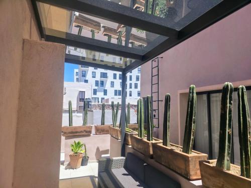Morelos 221 Downtown Area Loft with Private Terrace, Guadalajara ...