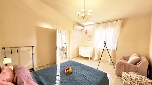 NN Sunny Apartment, Amantea (updated prices 2026)