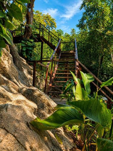 Corcovado Forest Chalet with Jacuzzi and Panoramic View, Rio de Janeiro ...