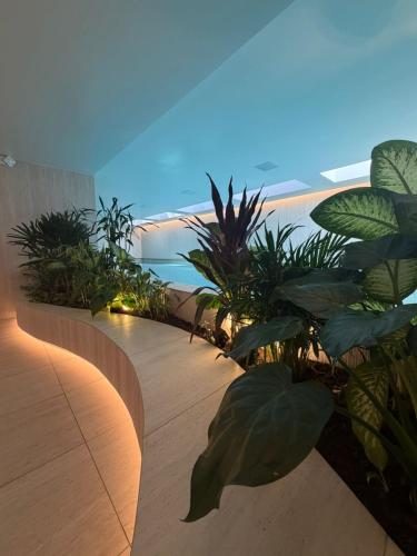 Beautiful Suite 4 min from La Carolina Park, Quito (tarifs actualisés ...