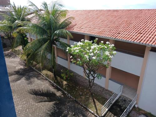 Apto com vista mar a 100 m da praia de ponta negra, Natal (updated ...