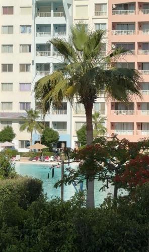 Cozy 1 bedroom studio in Porto Golf Alamein, El Alamein (precios ...