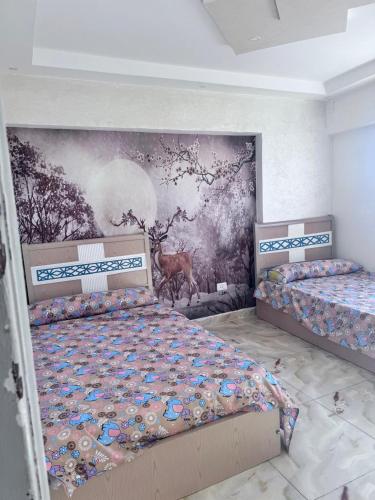 Alexandria Sea View Apartment, Alejandría (precios actualizados en 2026)
