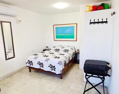 Loft of Red bricks & cactus terrace, Progreso (precios actualizados en ...