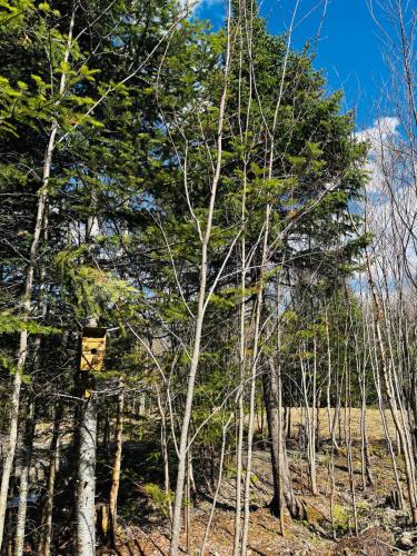 KØZY mini-chalets - Orion, Woburn (tarifs actualisés pour 2026)