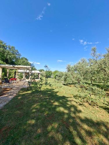 Charming Olive Tree House with Pool - Pet Friendly, Šišan (prezzi ...