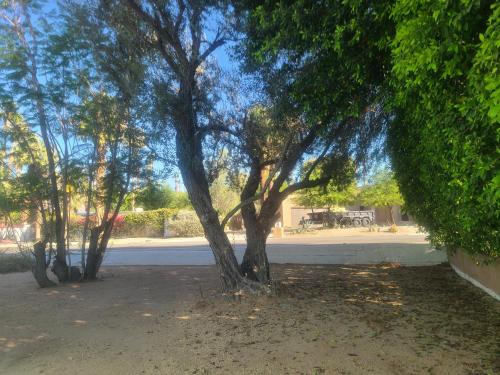 Steps to El Paseo Shopping, Fine Dining & Golf, Palm Desert (tarifs ...