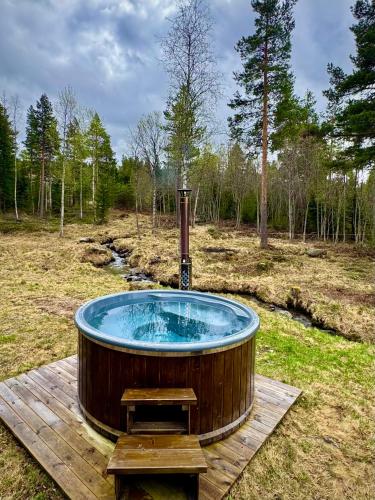 Mountain Cabin Nesfjellet Sauna, Hot Tub & Skiing, Nesbyen (aktualne ...