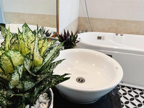 The Mosaic Loft, West Lake and Hoan Kiem Border, Hanoi (harga terbaru 2026)